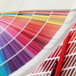 Color and Inspiration | Florida Paints