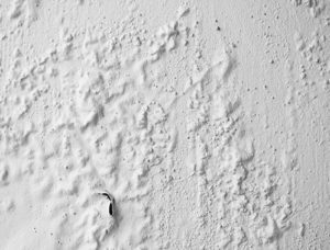 Common Paint Problems: Blistering - Florida Paints